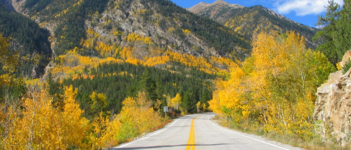 Swingle Shares Colorado Fall Foliage Drives | Tree and Lawn Care Services