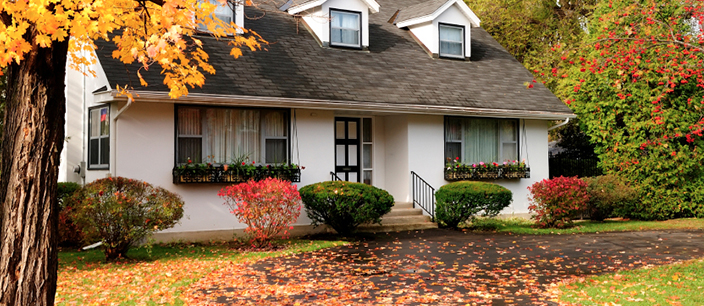 Fall Lawn Care Tips | Colorado Lawn Care for Fall | Swingle