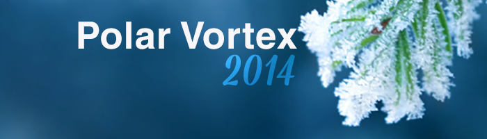 Typhoon Impacts Colorado Landscapes - 14' November Freeze