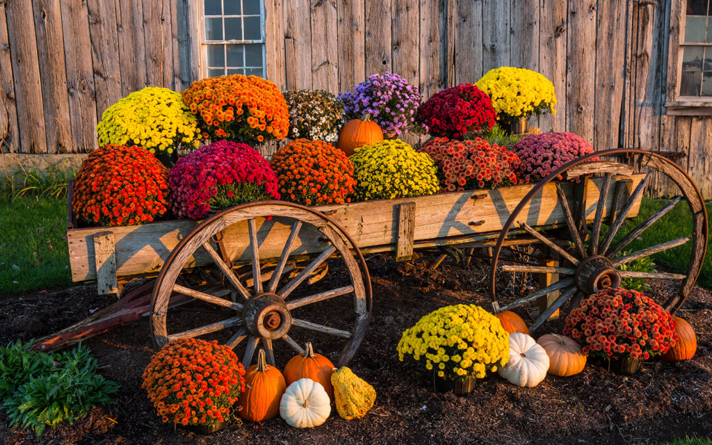 Fall Property Checklist - Swingle Landscape, Lawn Care & Tree Service