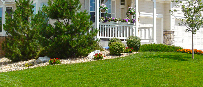 Spring Lawn Care Preparation in Colorado