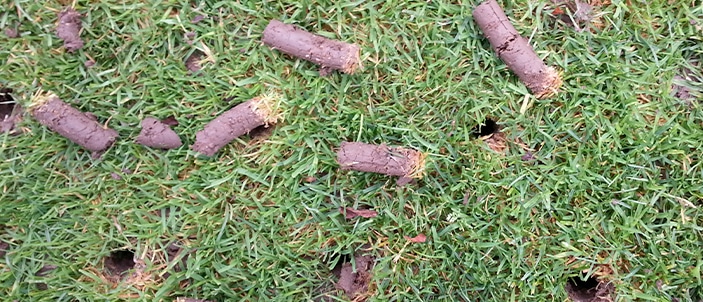 Fall Lawn Care | Why you should Aerate Your Lawn in the Fall | Swingle